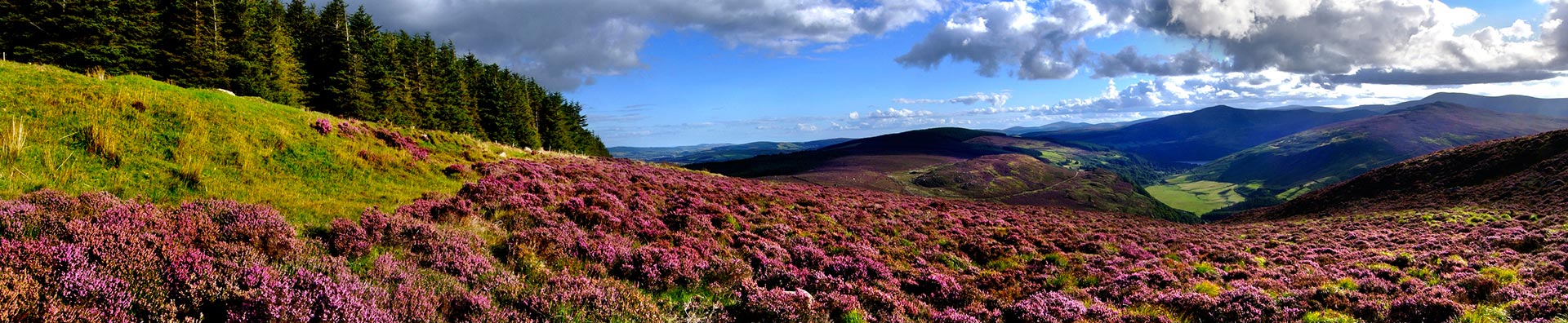 East Coast of Ireland | Driving Holiday | Irish Ferries